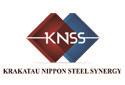 日本製鉄／海外事業会社の名称変更／KNSSやWN、略称は変えずブランド継承 | 日刊鉄鋼新聞 Japan Metal Daily